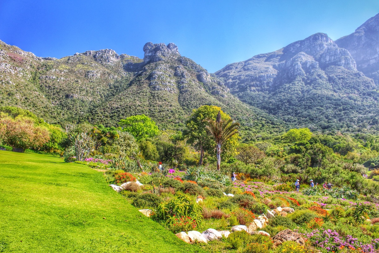 Virtual Tour – Kirstenbosch National Botanic Garden, Cape Town – Monday ...
