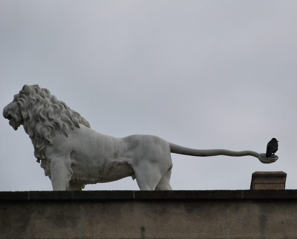 Photos of visit to Syon House and Park 21 September 2022 – The Arts ...